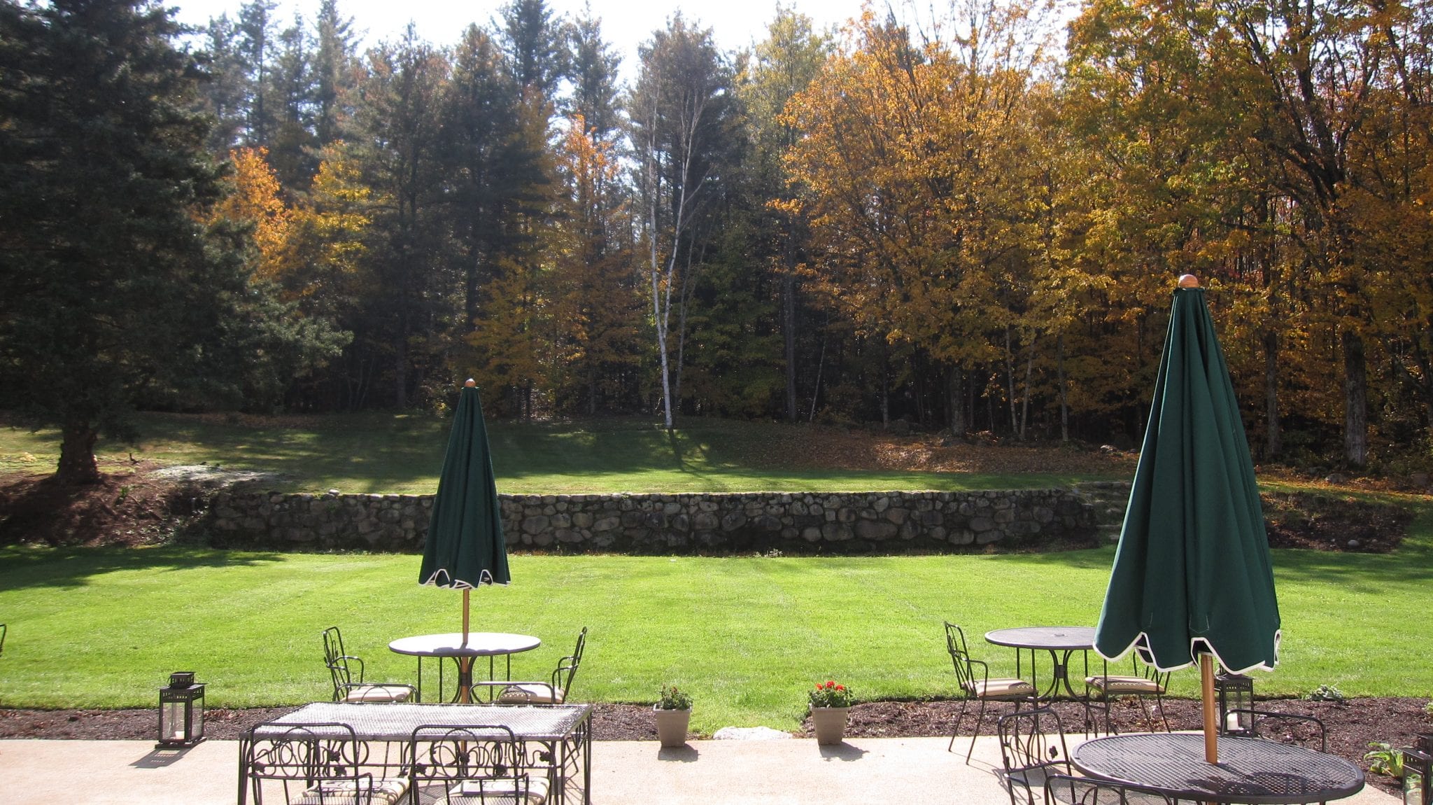 Terrace & Back Lawn - Horse and Hound